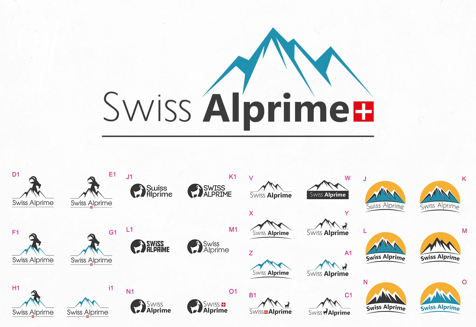 Swiss Style Logo